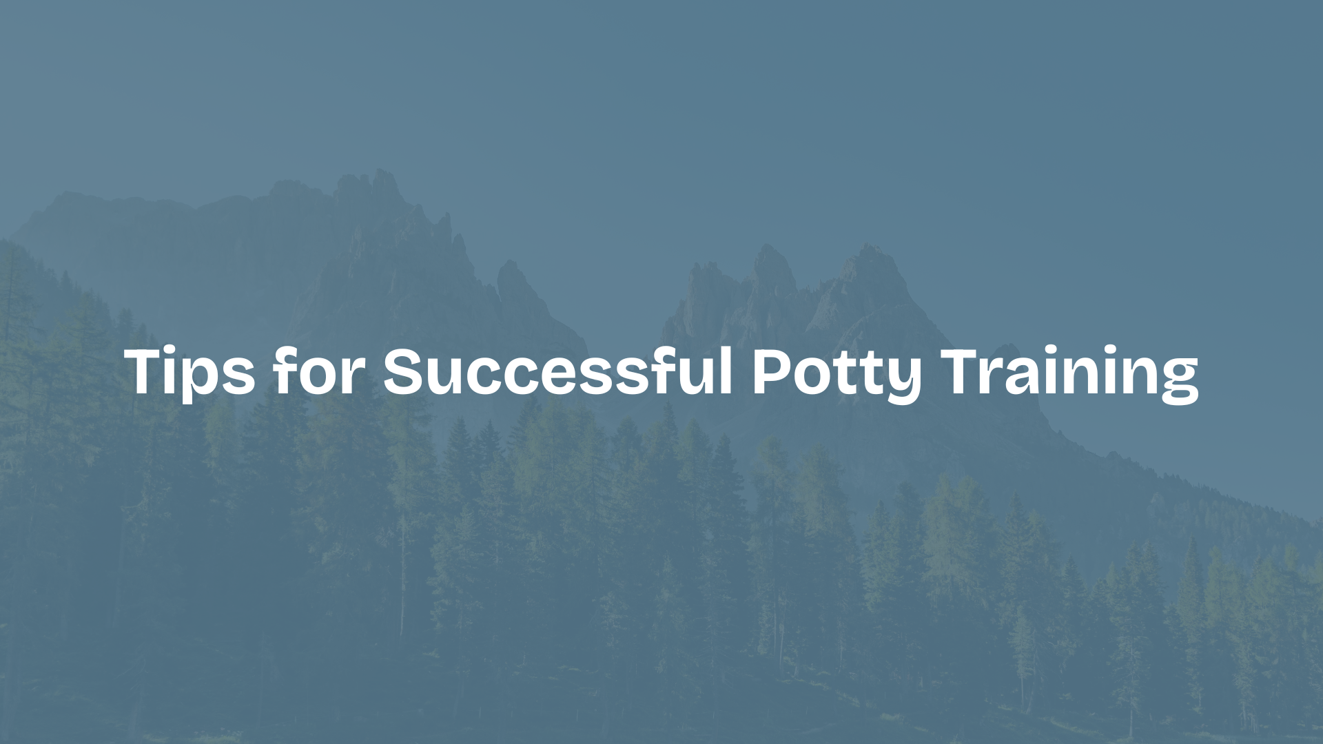 Tips for Successful Potty Training - Lamb Behavioral Health Center, LLC